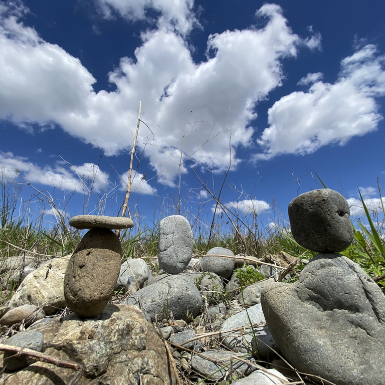 やった！レポ | WILD MIND GO! GO!