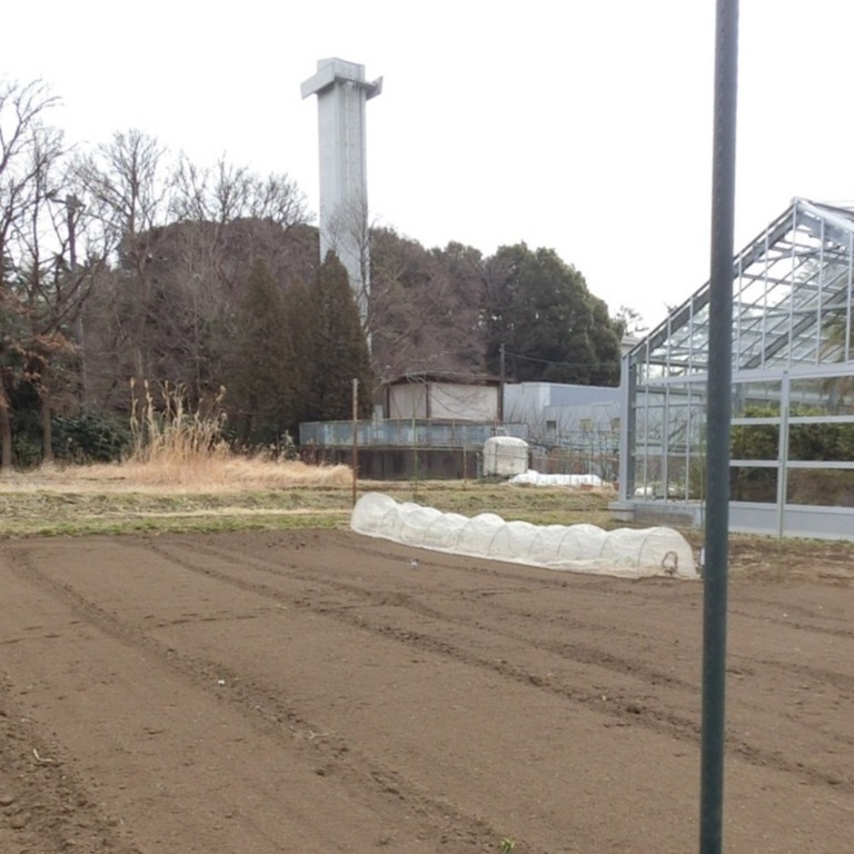 やった！レポ | WILD MIND GO! GO!